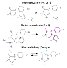 Nanoscopy - Abbelight