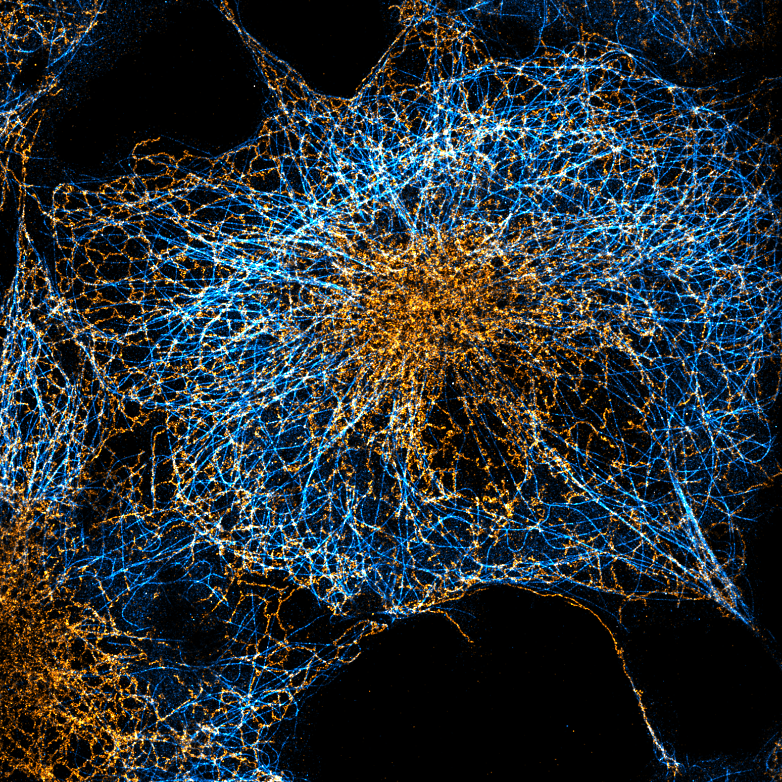 Straightforward Multicolor Nanoscopy with Automated Spectral Demixing ...